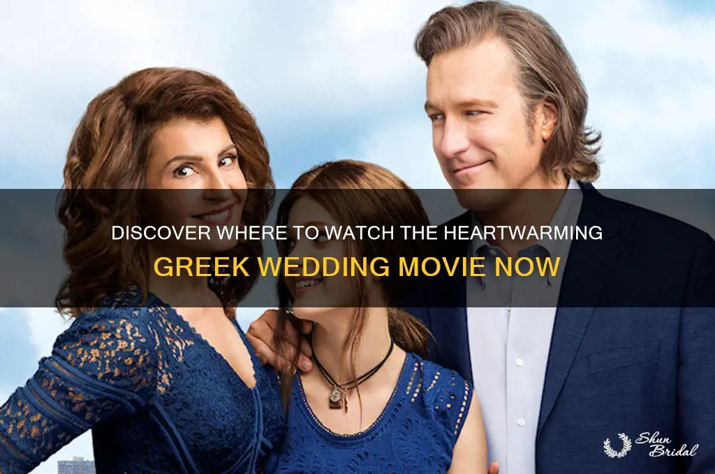 Discover Where To Watch The Heartwarming Greek Wedding Movie Now ...