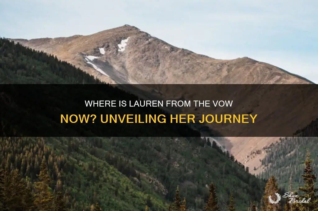 Where Is Lauren From The Vow Now? Unveiling Her Journey | ShunBridal