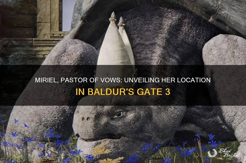 Miriel, Pastor Of Vows: Unveiling Her Location In Baldur's Gate 3 ...