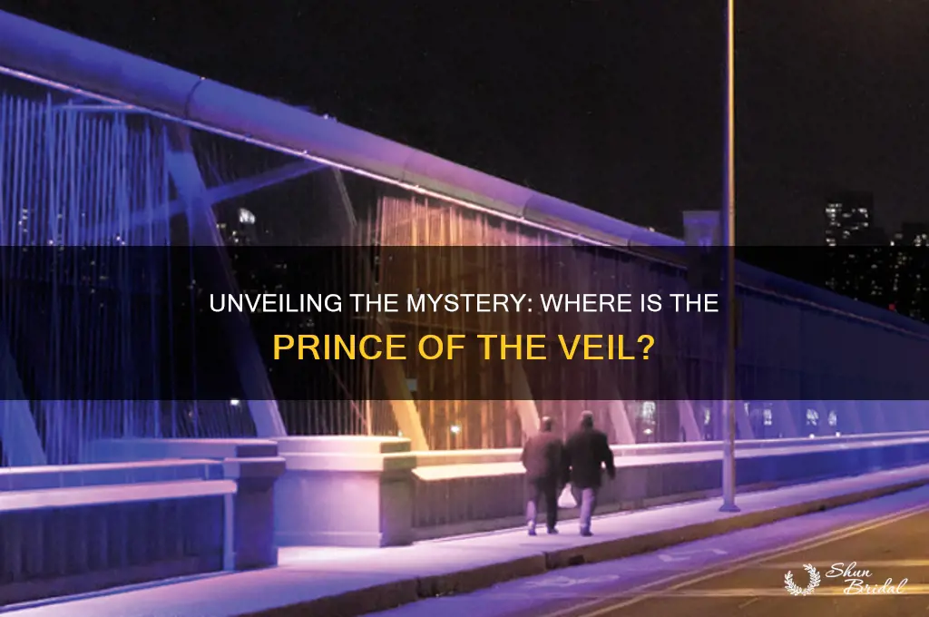 Unveiling The Mystery: Where Is The Prince Of The Veil? | ShunBridal
