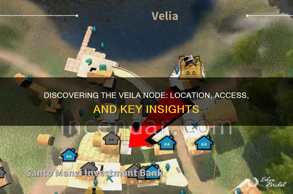 Discovering The Veila Node: Location, Access, And Key Insights | ShunBridal