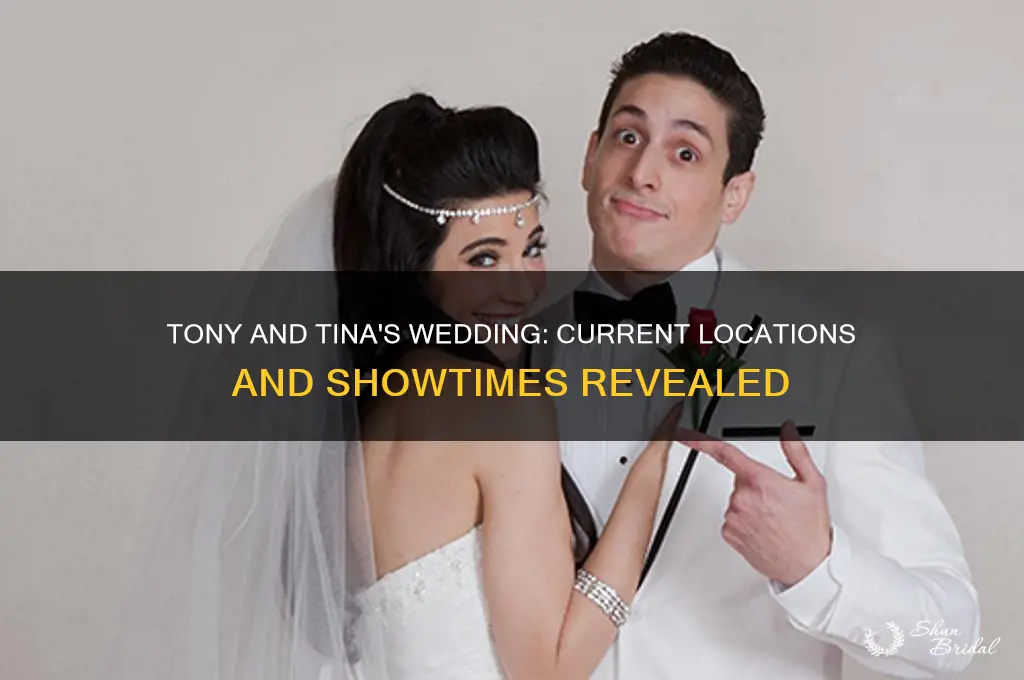 Tony And Tina's Wedding: Current Locations And Showtimes Revealed ...