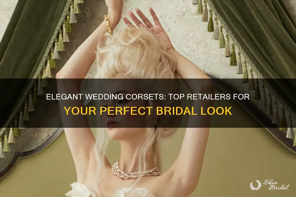 Elegant Wedding Corsets: Top Retailers For Your Perfect Bridal Look ...