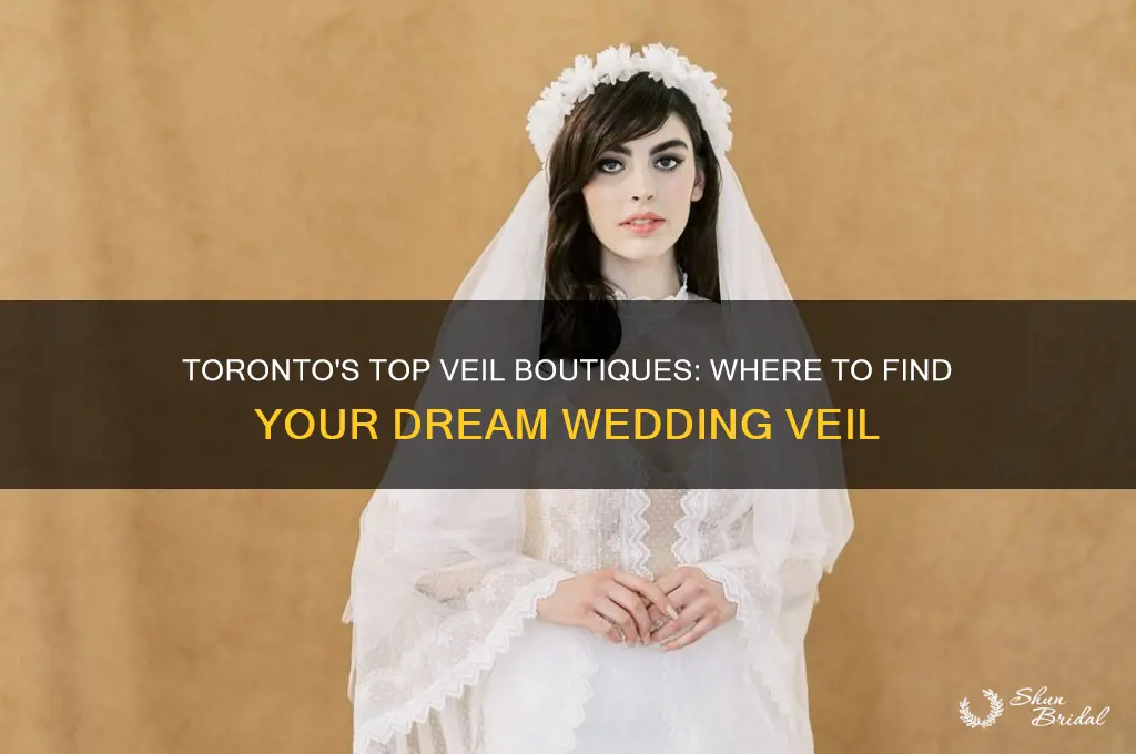 Toronto's Top Veil Boutiques: Where To Find Your Dream Wedding Veil ...