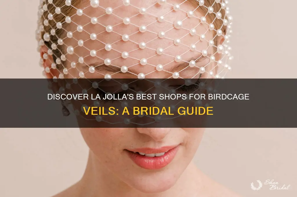 Discover La Jolla's Best Shops For Birdcage Veils: A Bridal Guide ...