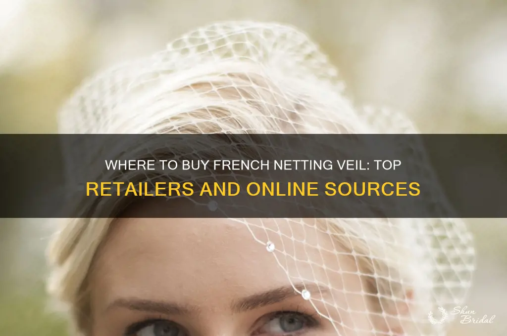 Where To Buy French Netting Veil: Top Retailers And Online Sources ...