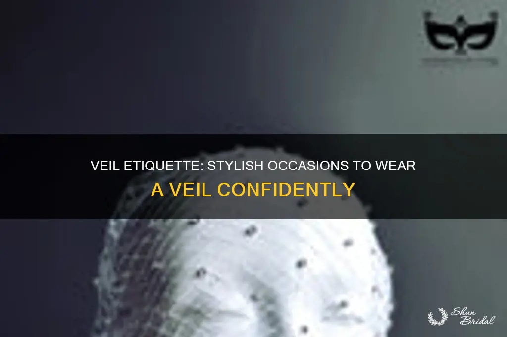 Veil Etiquette: Stylish Occasions To Wear A Veil Confidently | ShunBridal