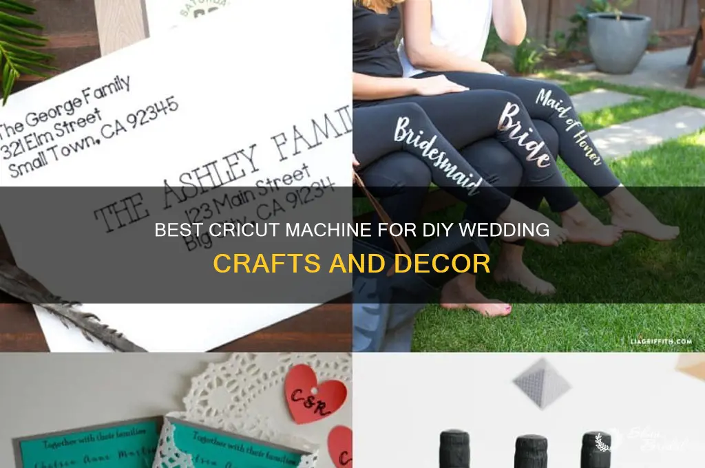 Best Cricut Machine For Diy Wedding Crafts And Decor | ShunBridal