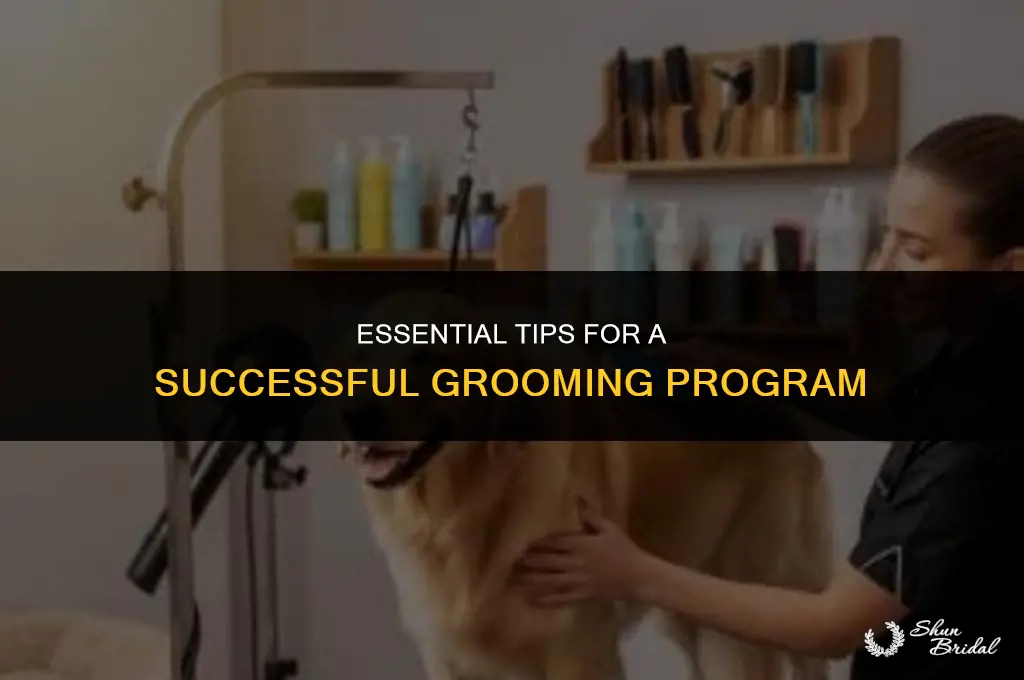 Essential Tips For A Successful Grooming Program | ShunBridal