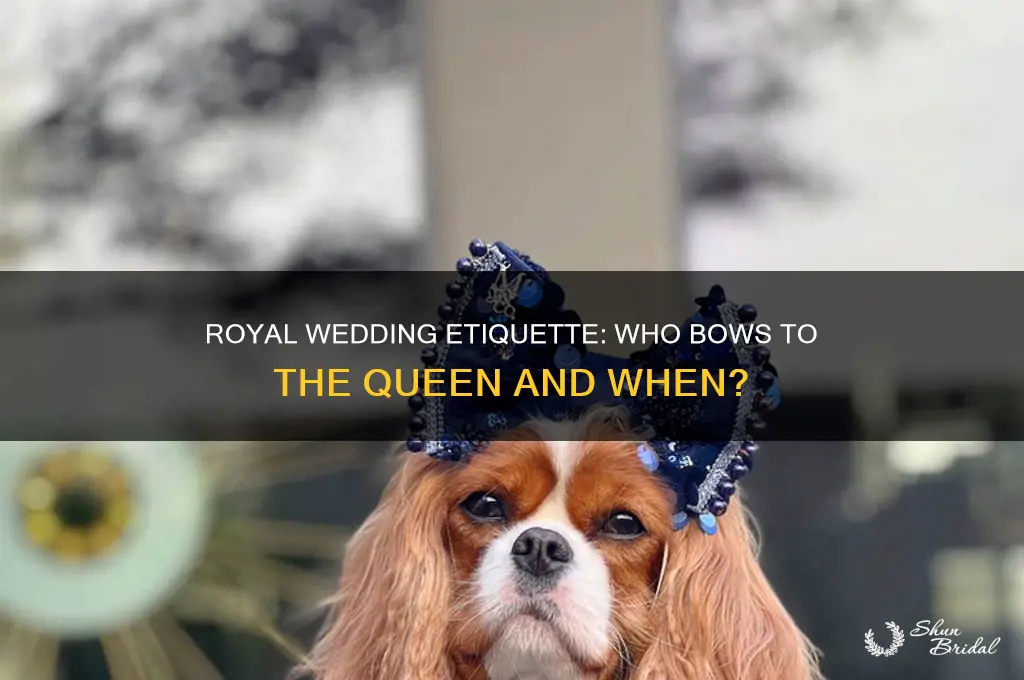 Royal Wedding Etiquette: Who Bows To The Queen And When? | ShunBridal