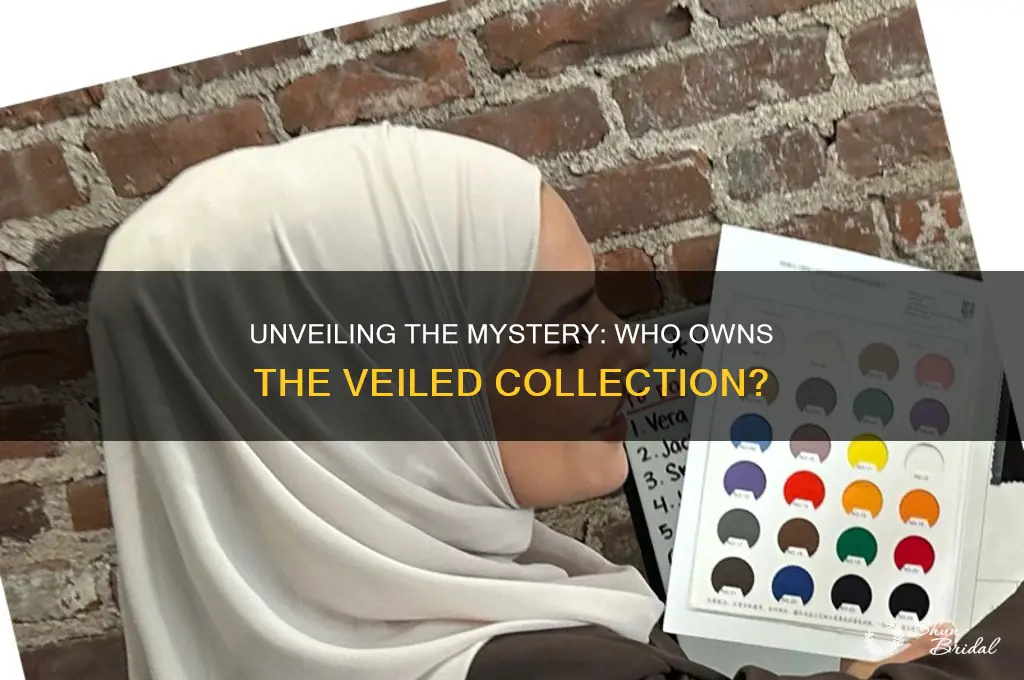 Unveiling The Mystery: Who Owns The Veiled Collection? | ShunBridal
