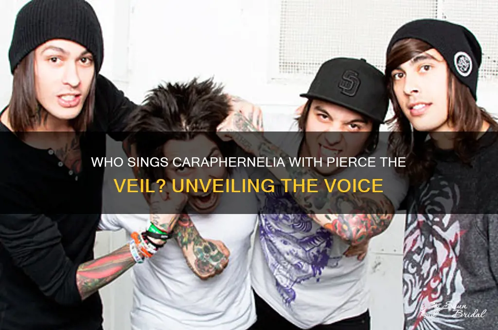 Who Sings Caraphernelia With Pierce The Veil? Unveiling The Voice ...