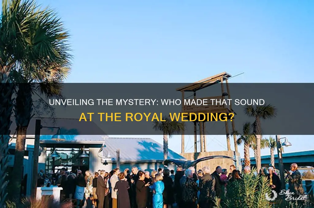 Unveiling The Mystery: Who Made That Sound At The Royal Wedding ...