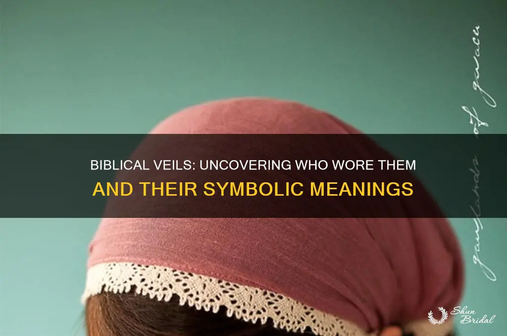 Biblical Veils: Uncovering Who Wore Them And Their Symbolic Meanings ...