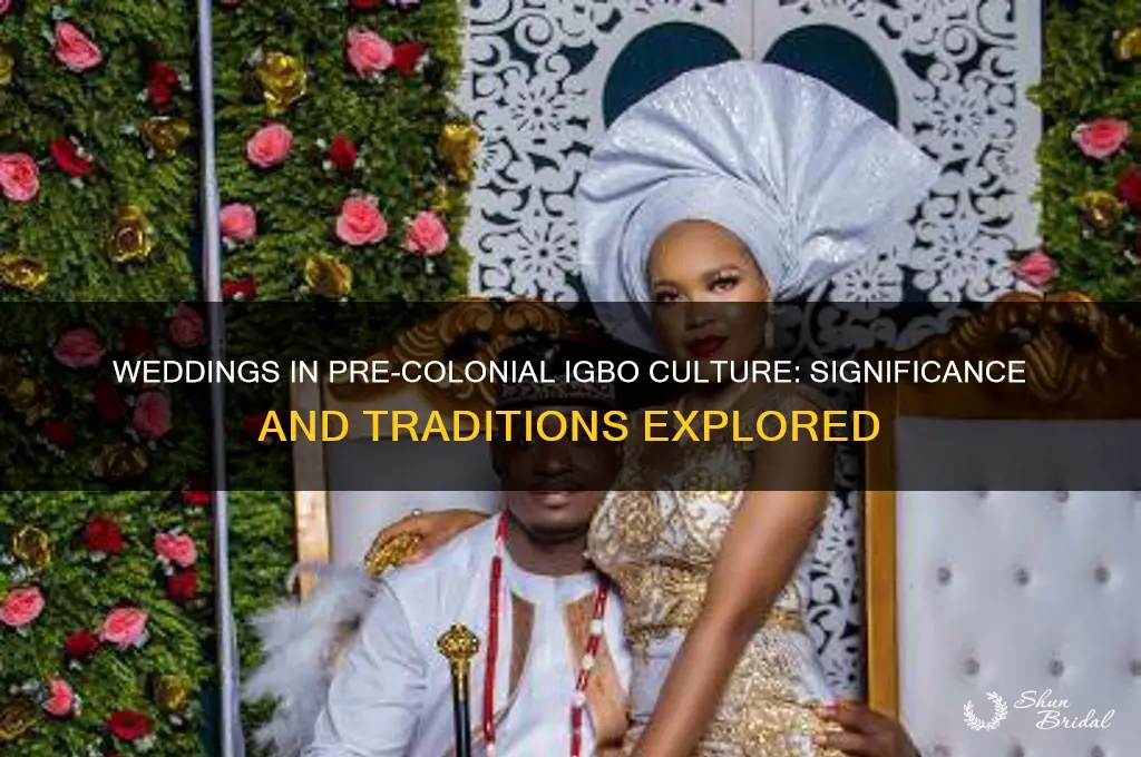 Weddings In Pre-Colonial Igbo Culture: Significance And Traditions ...
