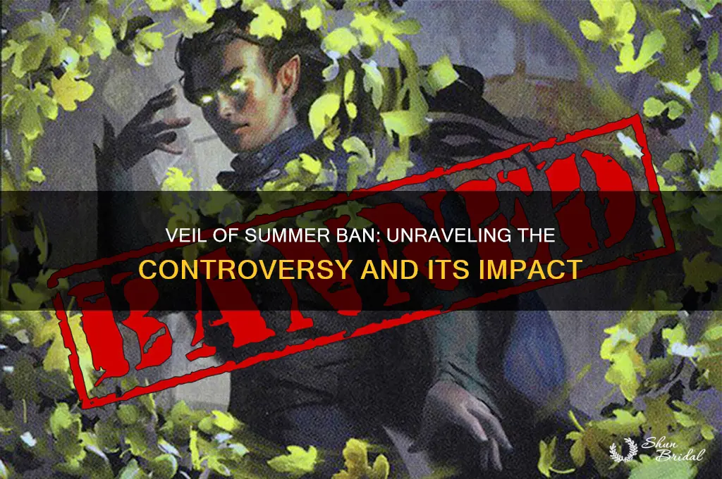 Veil Of Summer Ban: Unraveling The Controversy And Its Impact | ShunBridal