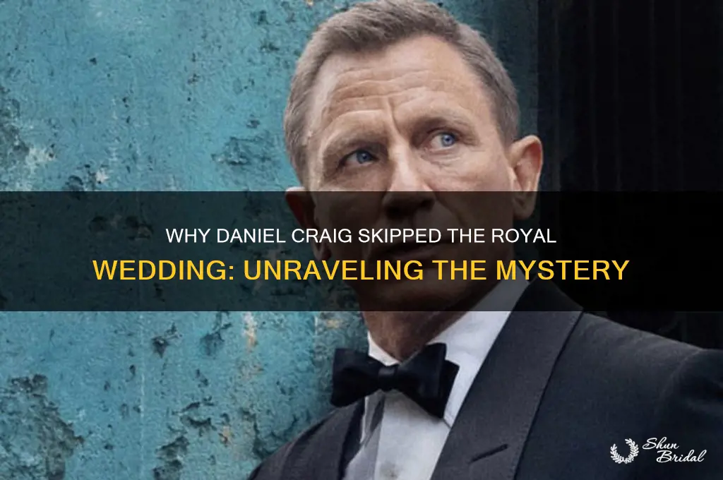 Why Daniel Craig Skipped The Royal Wedding: Unraveling The Mystery ...