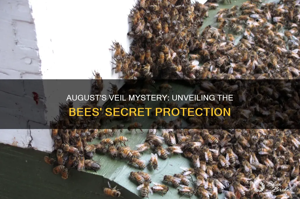 August's Veil Mystery: Unveiling The Bees' Secret Protection | ShunBridal
