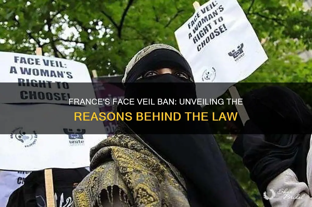 France's Face Veil Ban: Unveiling The Reasons Behind The Law | ShunBridal