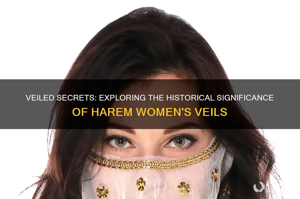 Veiled Secrets: Exploring The Historical Significance Of Harem Women's ...