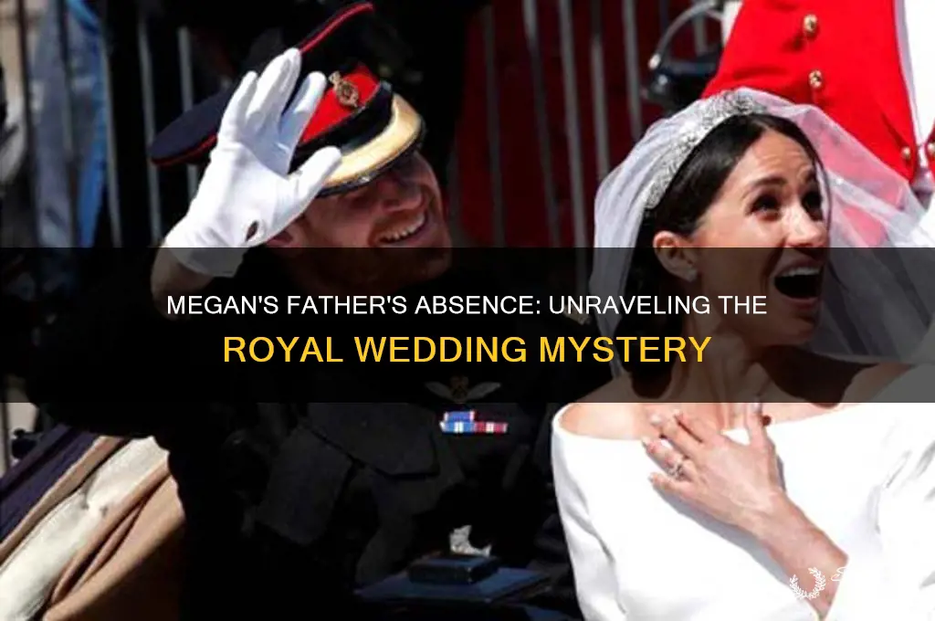 Megan's Father's Absence: Unraveling The Royal Wedding Mystery | ShunBridal