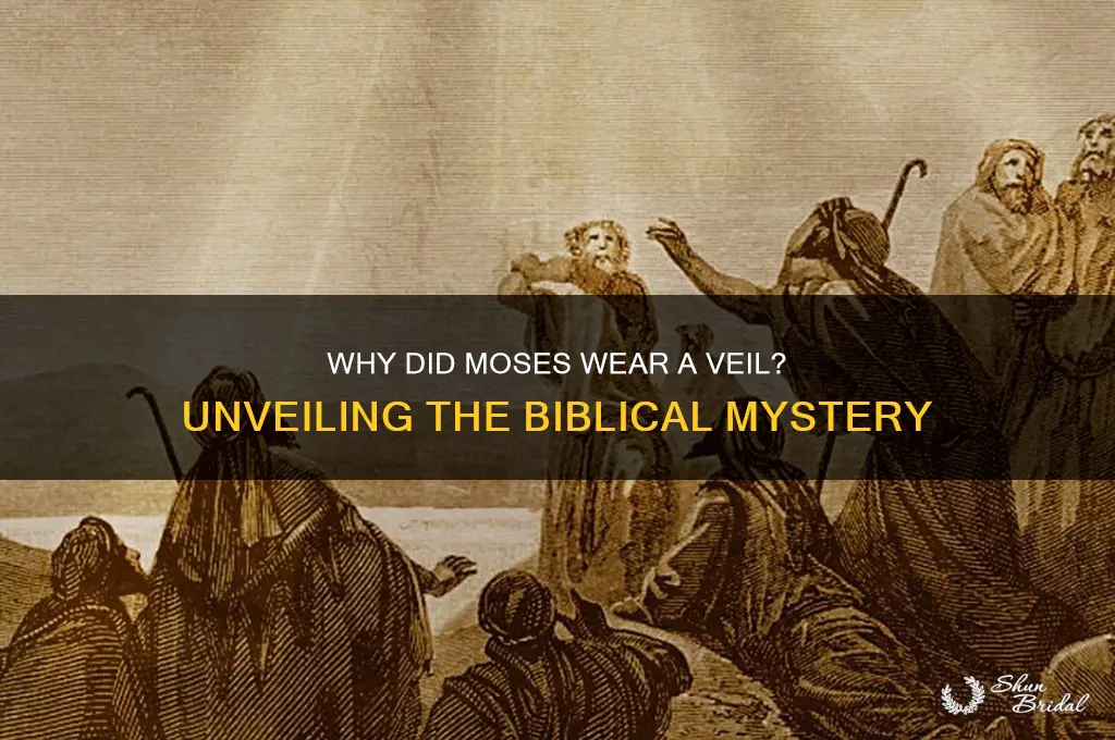 Why Did Moses Wear A Veil? Unveiling The Biblical Mystery | ShunBridal