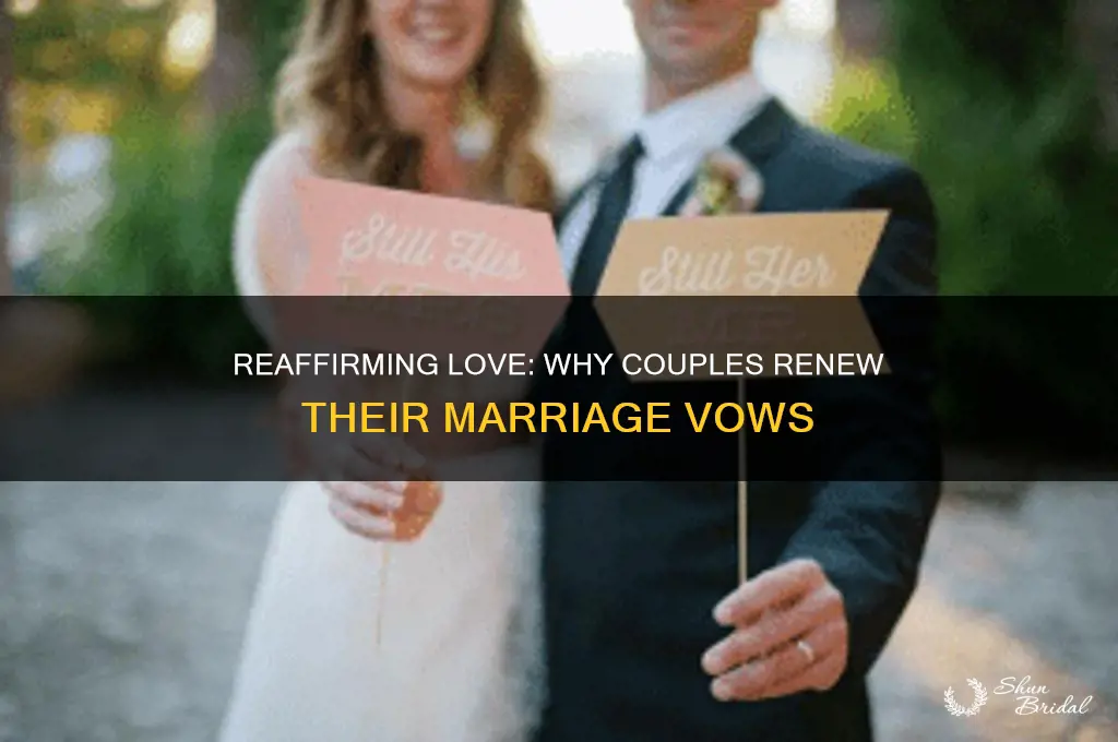 Reaffirming Love: Why Couples Renew Their Marriage Vows | ShunBridal