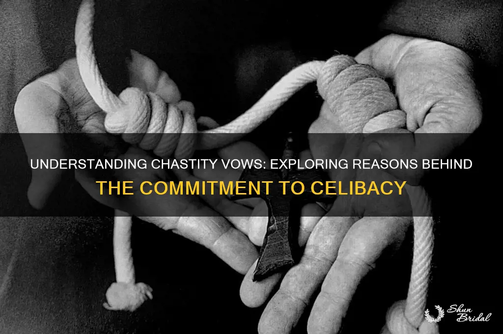 Understanding Chastity Vows: Exploring Reasons Behind The Commitment To ...
