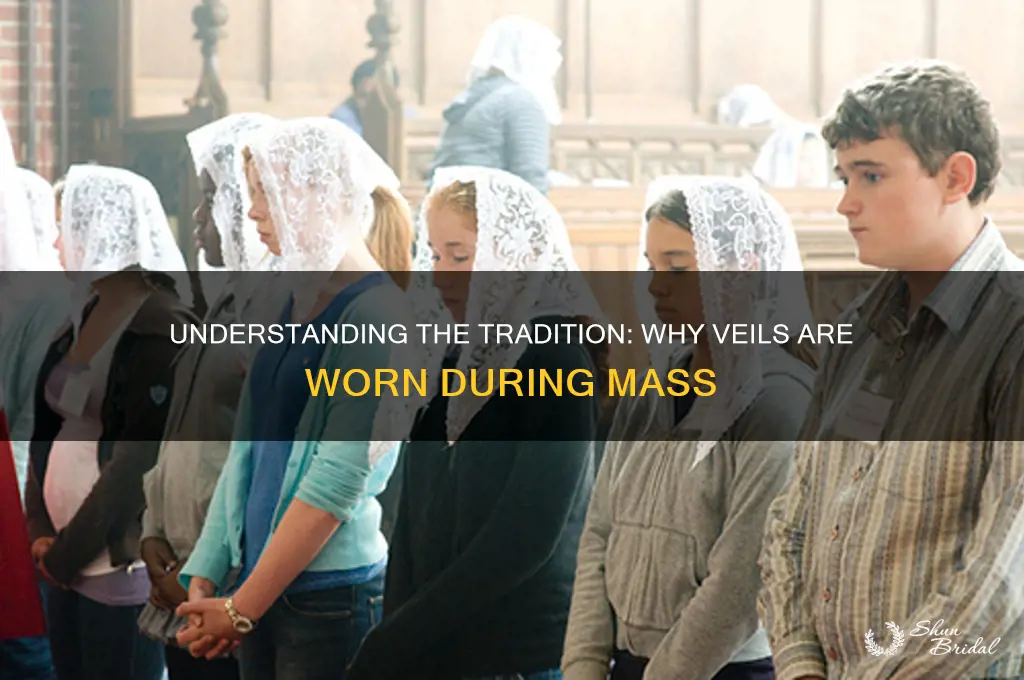 Understanding The Tradition: Why Veils Are Worn During Mass | ShunBridal