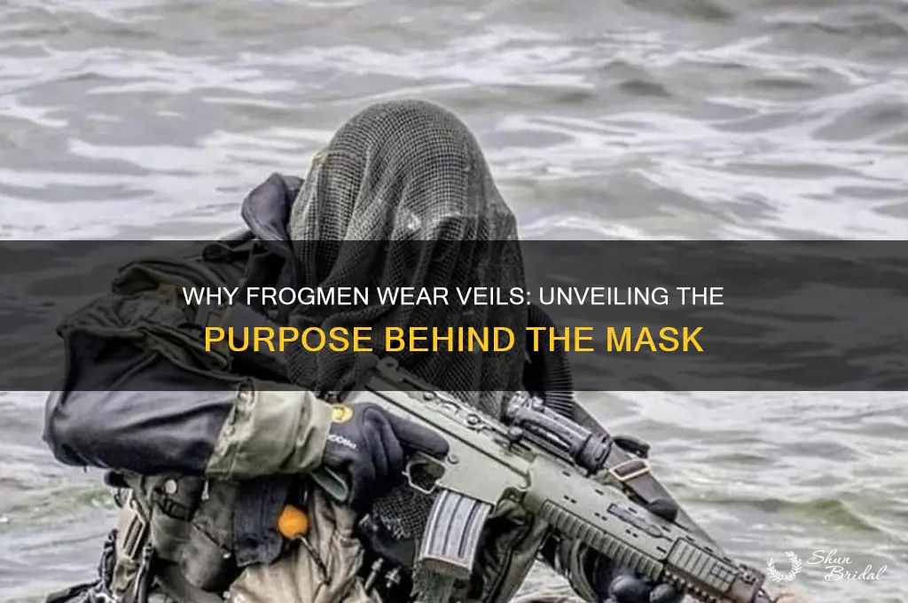 Why Frogmen Wear Veils: Unveiling The Purpose Behind The Mask | ShunBridal