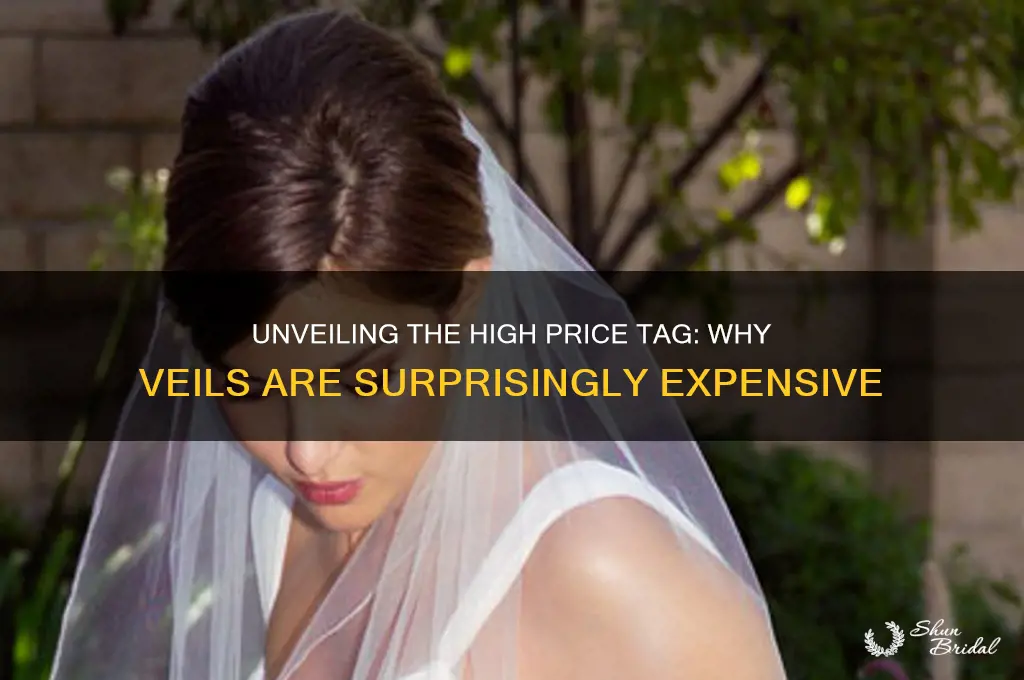 Unveiling The High Price Tag: Why Veils Are Surprisingly Expensive ...