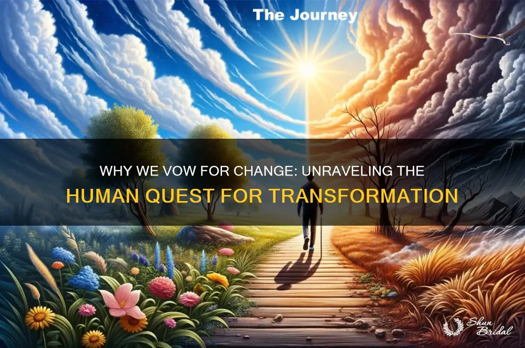 Why We Vow For Change: Unraveling The Human Quest For Transformation ...