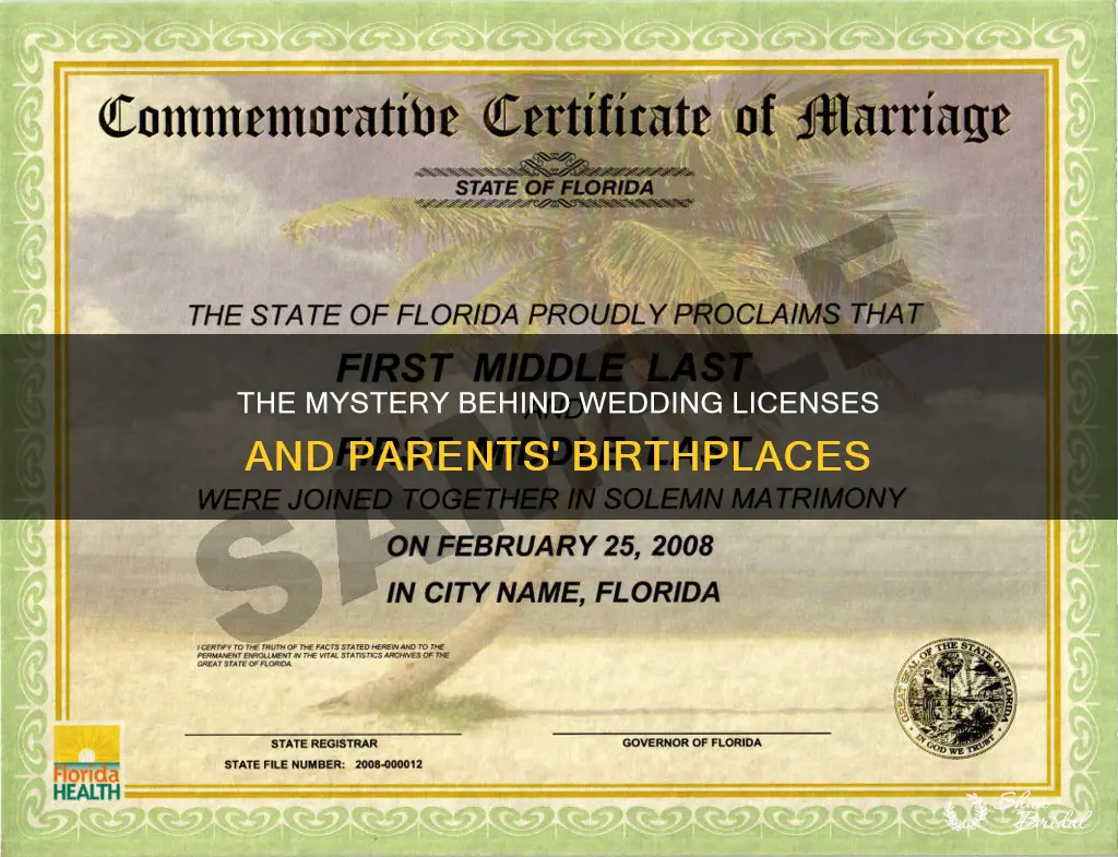 The Mystery Behind Wedding Licenses And Parents' Birthplaces | ShunBridal