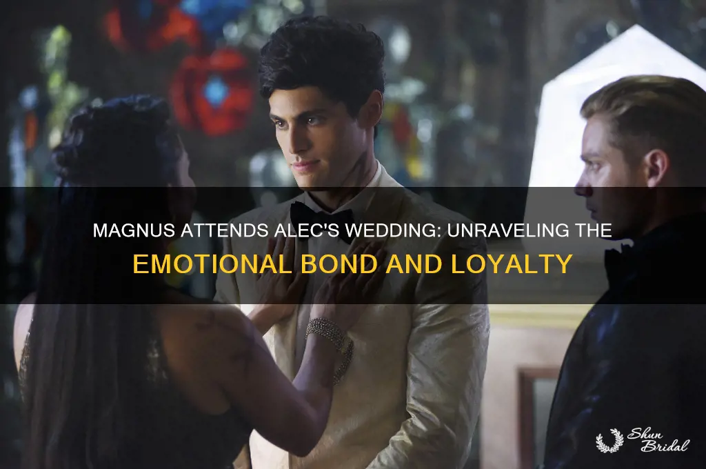 Magnus Attends Alec's Wedding: Unraveling The Emotional Bond And ...