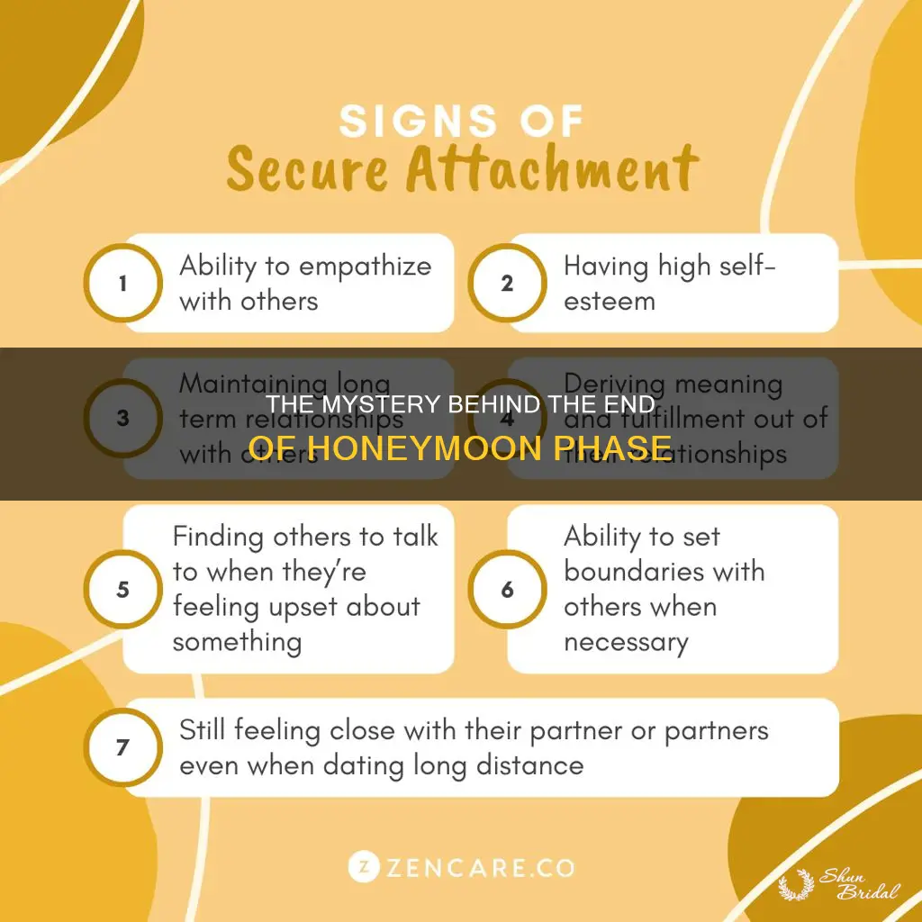 The Mystery Behind The End Of Honeymoon Phase | ShunBridal