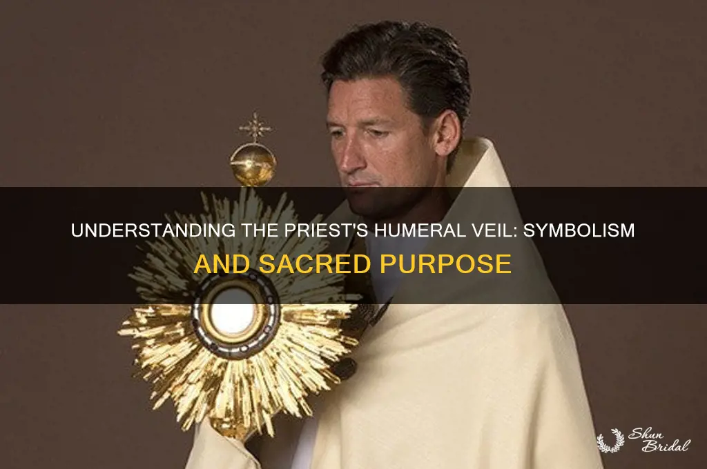 Understanding The Priest's Humeral Veil: Symbolism And Sacred Purpose ...