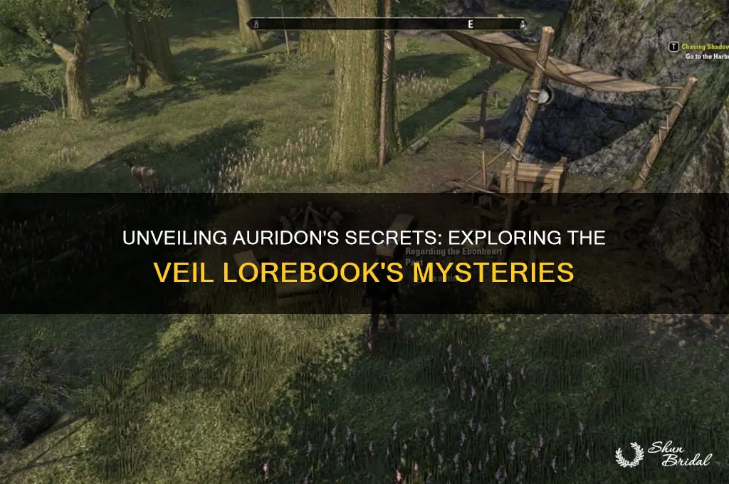 Unveiling Auridon's Secrets: Exploring The Veil Lorebook's Mysteries ...