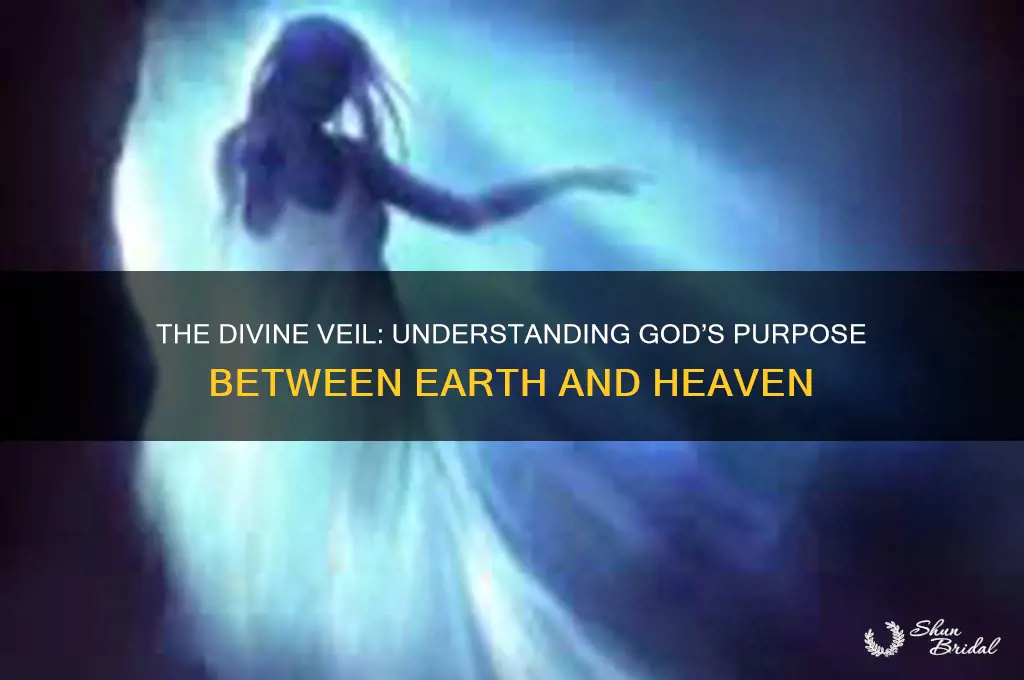 The Divine Veil: Understanding God’S Purpose Between Earth And Heaven ...