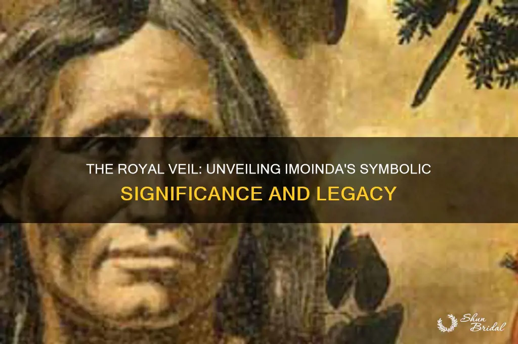 The Royal Veil: Unveiling Imoinda's Symbolic Significance And Legacy ...