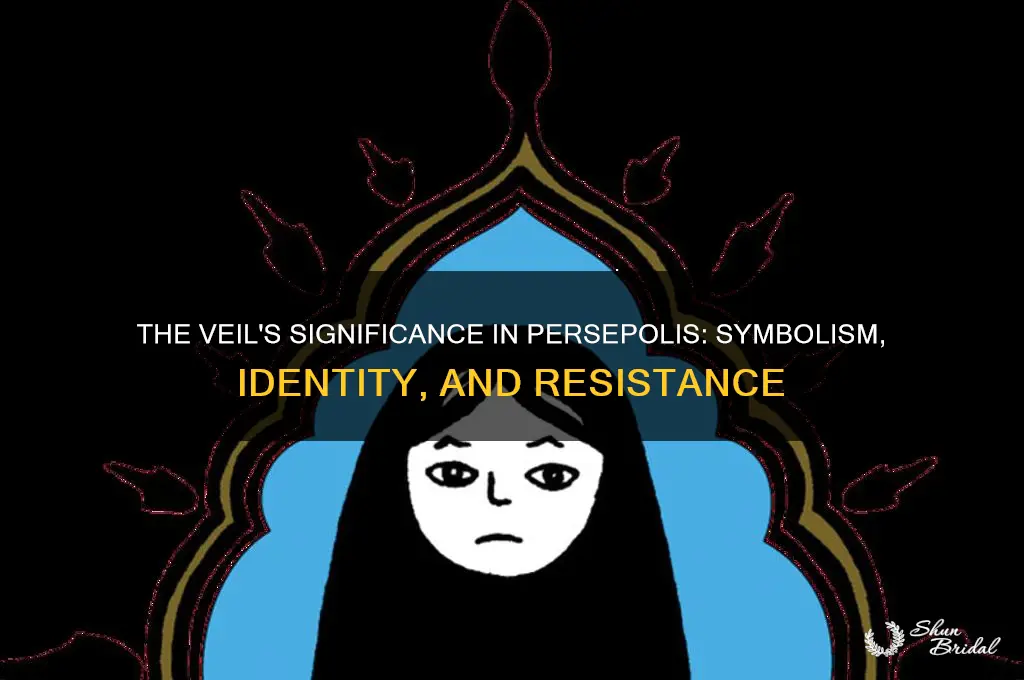 The Veil's Significance In Persepolis: Symbolism, Identity, And ...