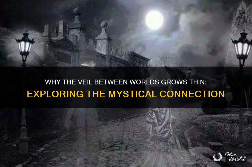 Why The Veil Between Worlds Grows Thin: Exploring The Mystical ...