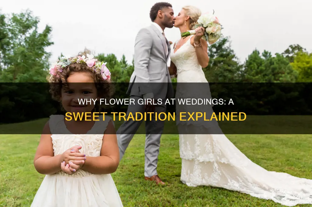 Why Flower Girls At Weddings: A Sweet Tradition Explained | ShunBridal