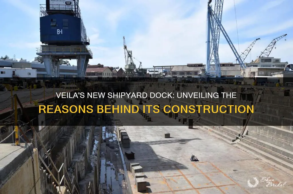 Veila's New Shipyard Dock: Unveiling The Reasons Behind Its ...