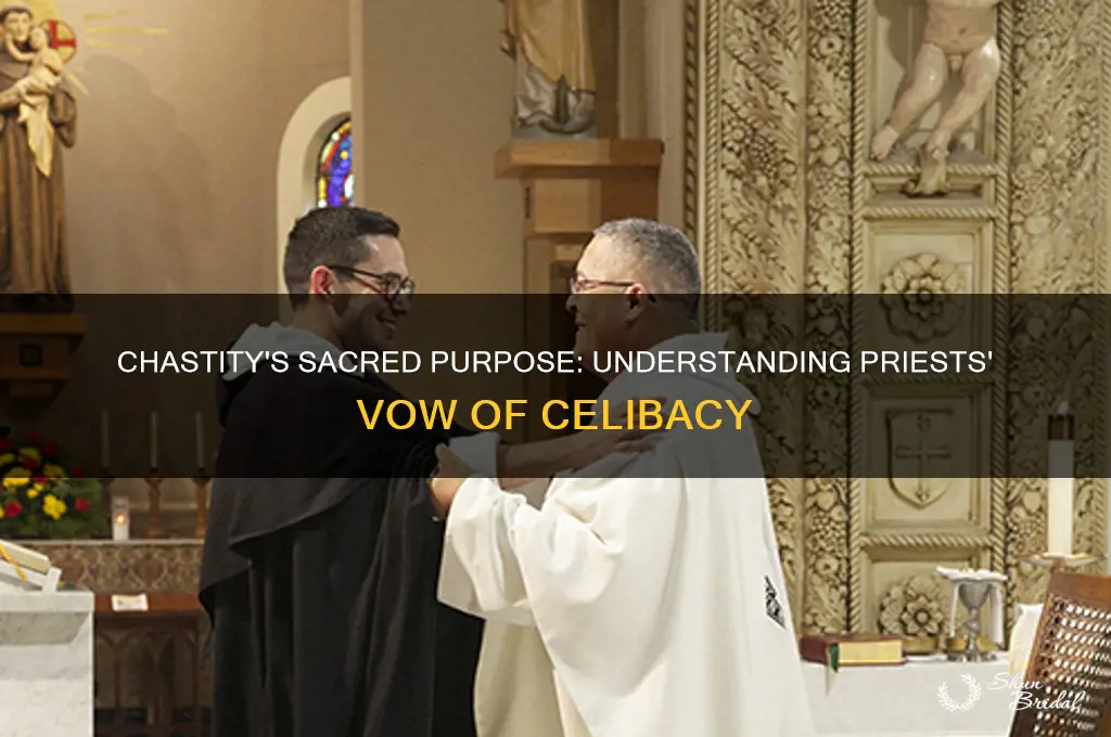 Chastity's Sacred Purpose: Understanding Priests' Vow Of Celibacy ...