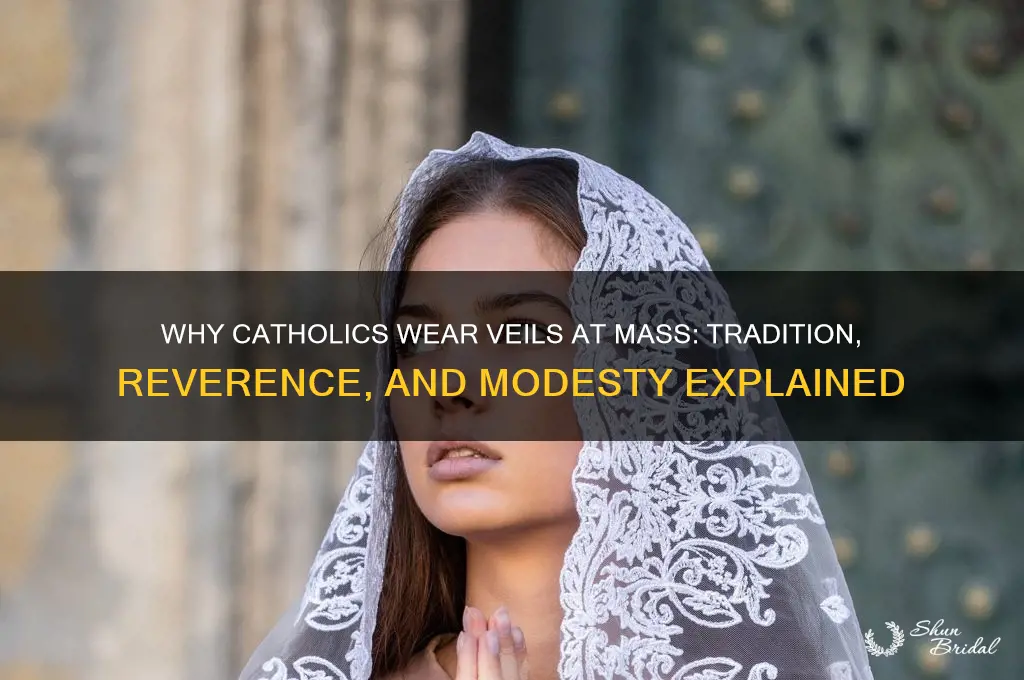 Why Catholics Wear Veils At Mass: Tradition, Reverence, And Modesty ...