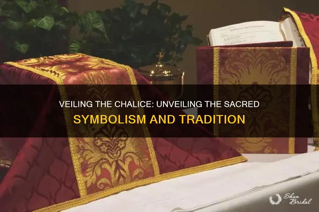 Veiling The Chalice: Unveiling The Sacred Symbolism And Tradition ...