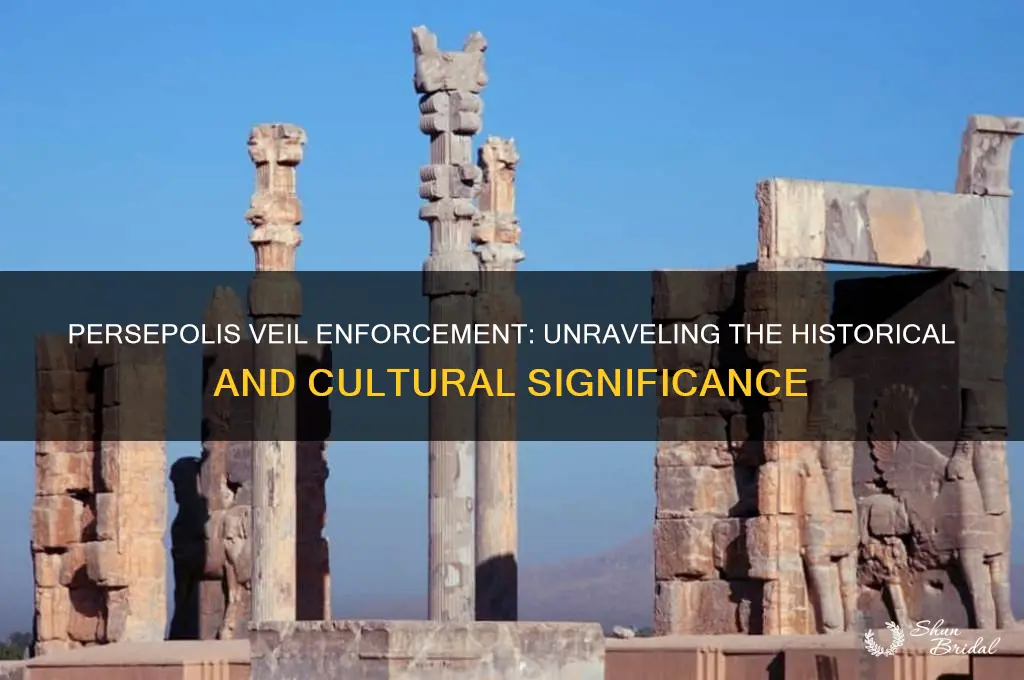 Persepolis Veil Enforcement: Unraveling The Historical And Cultural ...