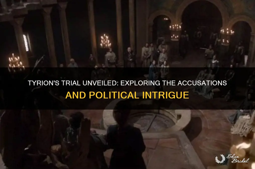 Tyrion's Trial Unveiled: Exploring The Accusations And Political ...