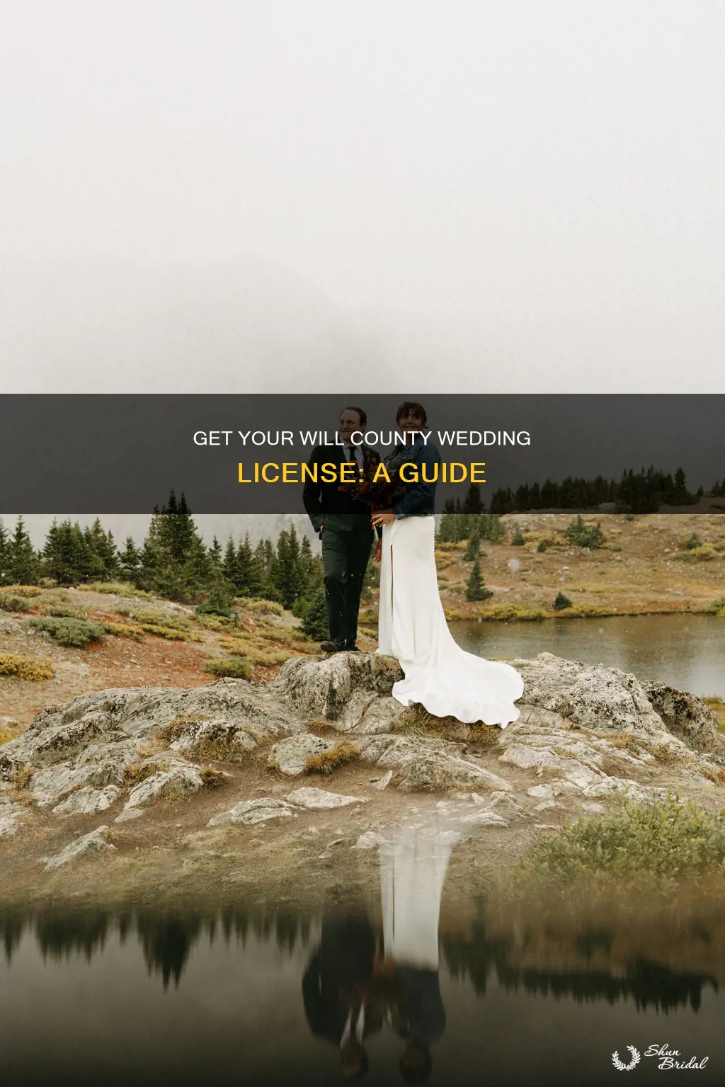 Get Your Will County Wedding License: A Guide | ShunBridal