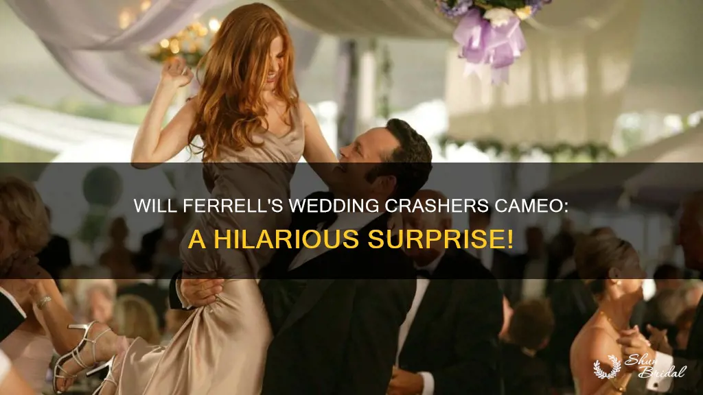 Will Ferrell's Wedding Crashers Cameo: A Hilarious Surprise! | ShunBridal